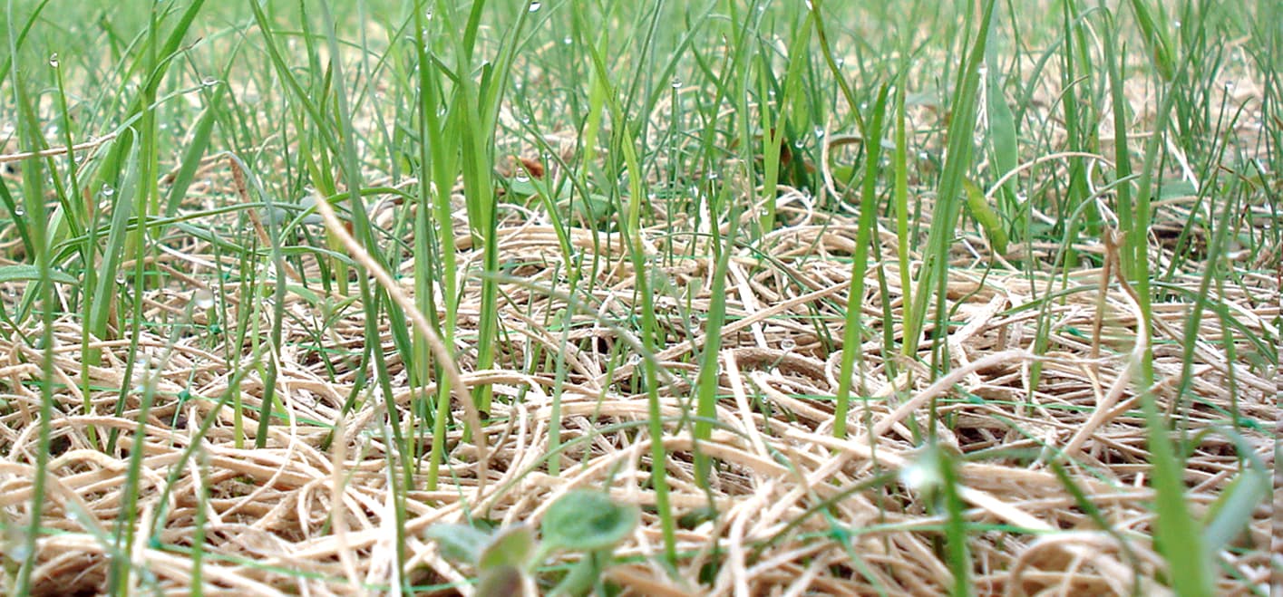 Curlex® Excelsior Blanket Production in Full Swing | American Excelsior ...