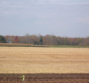 Erosion Control | American Excelsior | Arlington, TX